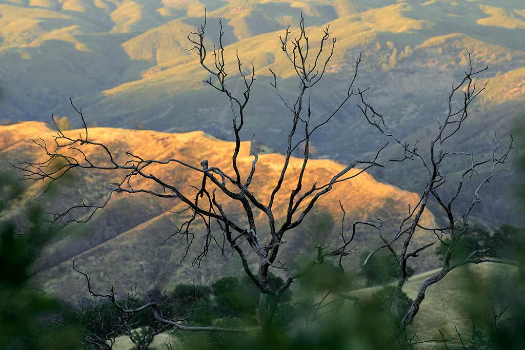 Cooley Ranch Elementary | Disaster Days - CalMatters